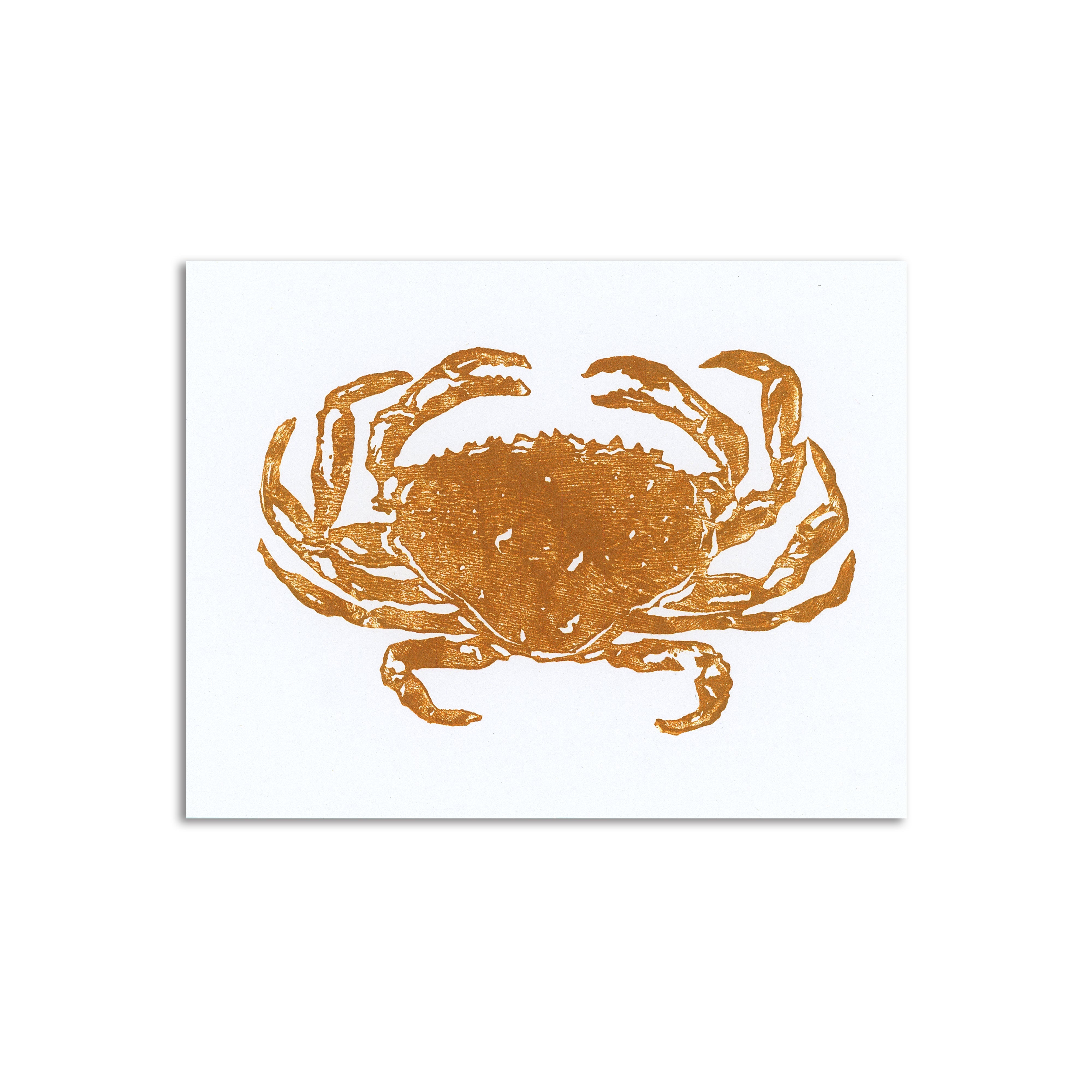 BC Sea Creatures Collection – Sapphorica Creations
